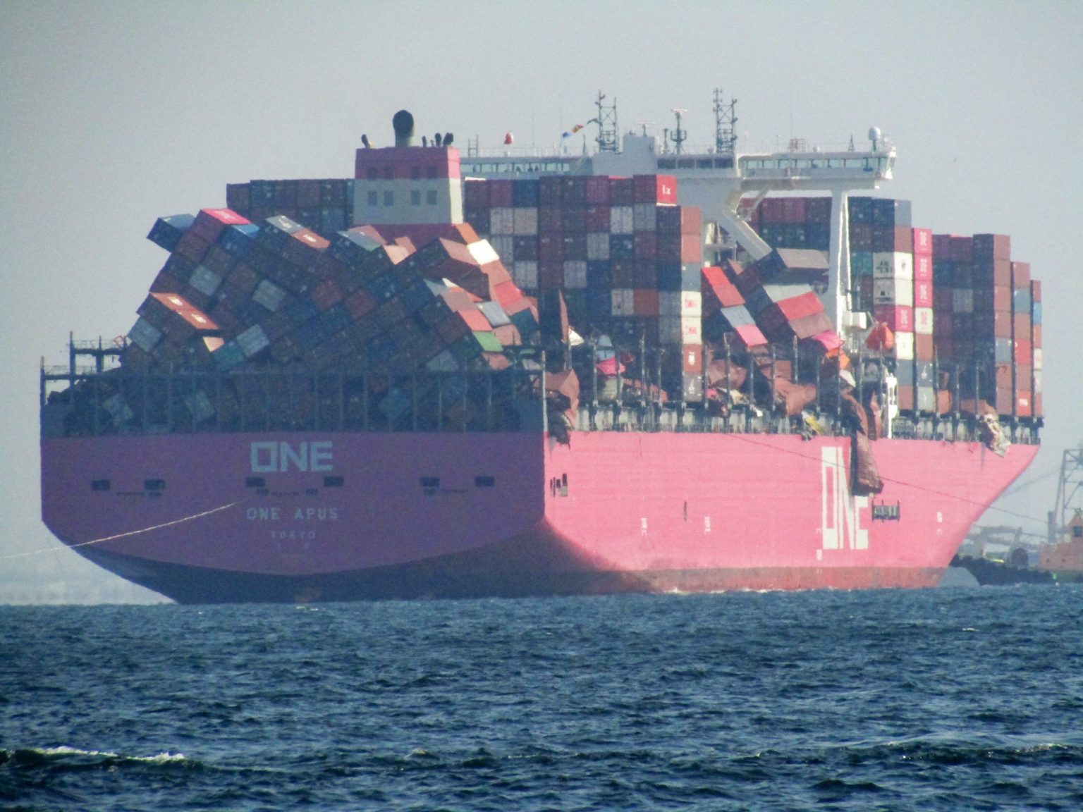 Annual Report by World Shipping Council Reveals Average Loss of 1,629 ...