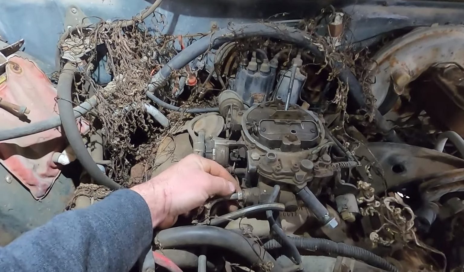 Rare Checker Aerobus Restoration Project: A Limousine Gem Revived - DAX ...