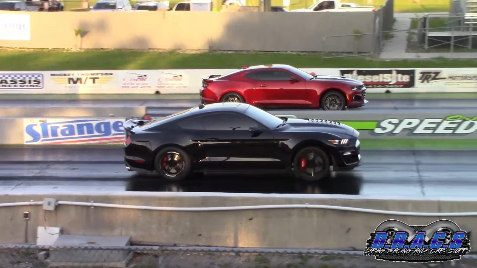Shelby GT500: A Legacy of Speed and Dominance - DAX Street