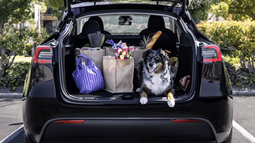 Tesla Slashes Prices For 2024 Model Y And Reveals Updated Specs - DAX ...