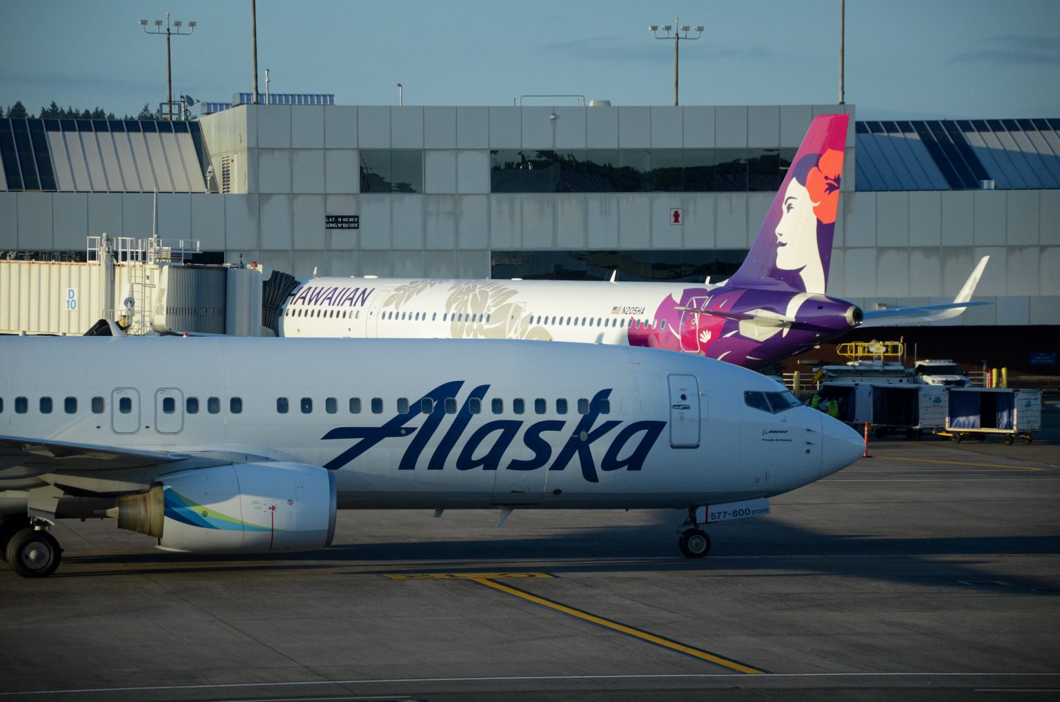 The Mystery Man on Alaska Airlines Planes: Who Is He? - DAX Street