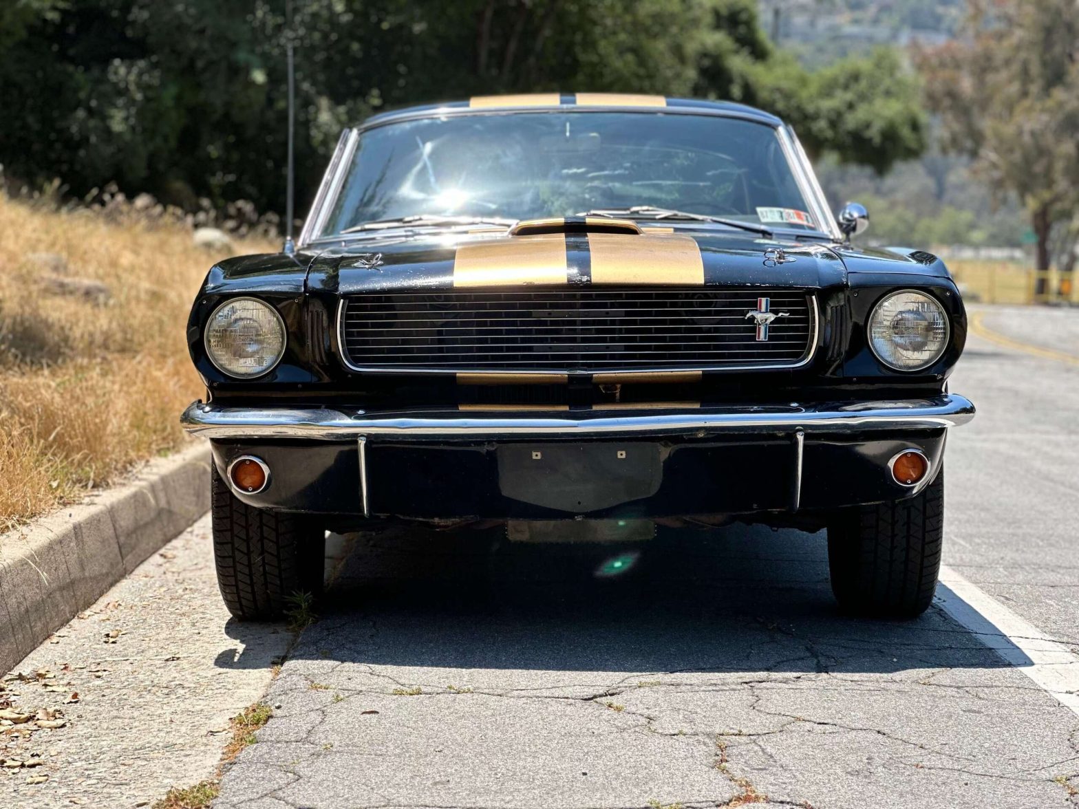 Exploring the Legacy of the 1966 Shelby GT350H: How Hertz Transformed a ...