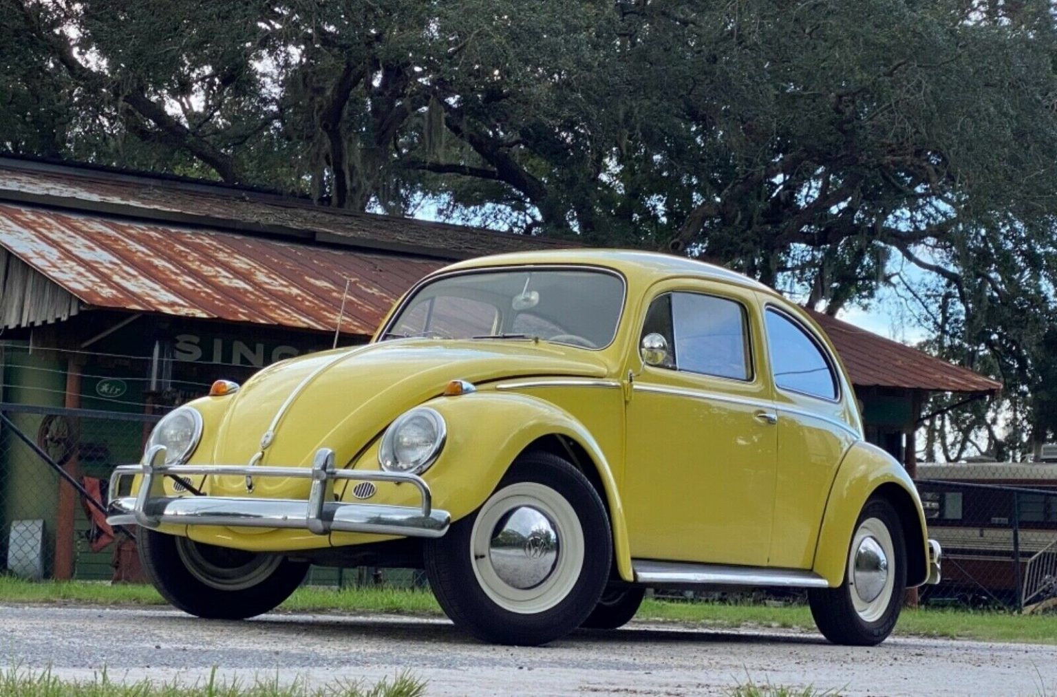 10 Volkswagen Beetle Models Known for Timeless Design, Cultural Impact ...