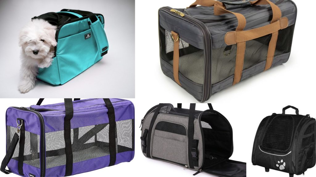 Top 10 Pet Carriers for Safe Travel in The City And Road Trips - DAX Street